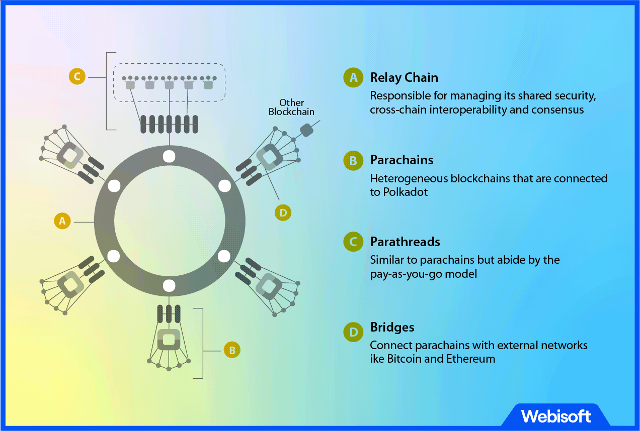 Polkadot Network Explained: Future of Web3 Blockchain