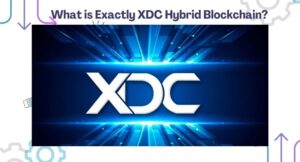 Create Your dApp: Learn How to Build a dApp and Develop Your Vision on the Blockchain