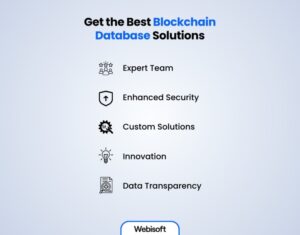 Exploring Blockchain Database: A Comprehensive Guide - Webisoft Blog
